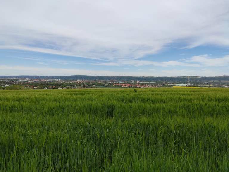 Mausoleum des Freiherrn von Kap-herr: Wanderungen und Rundwege | komoot