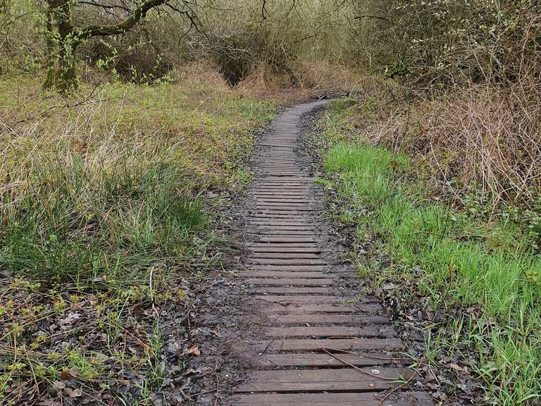 Bruggetje over de Nete – De kronkelende Nethe Rondje vanuit Zammel ...