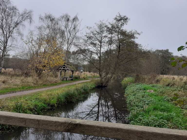 Aalbeek Niederung Routes for Walking and Hiking | Komoot