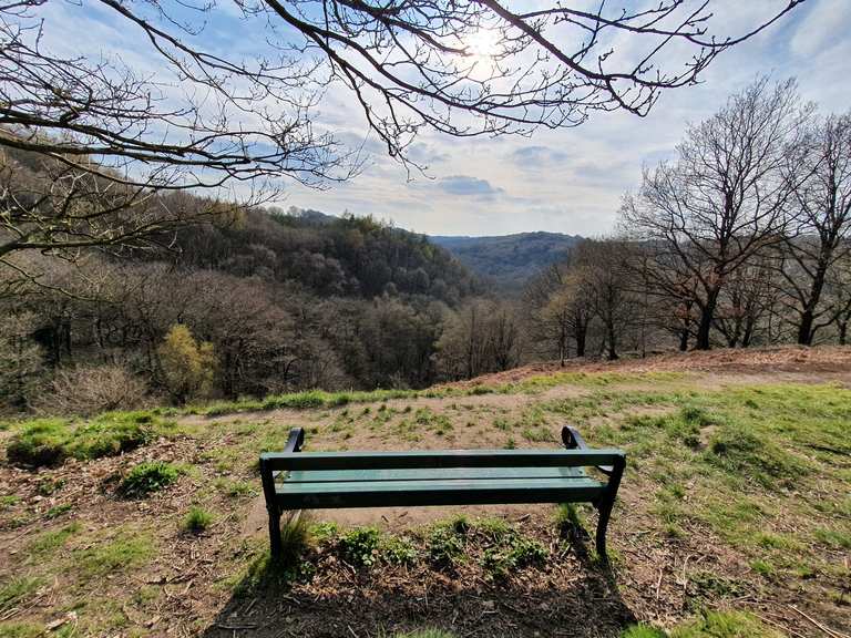 The perfect viewpoint bench over the Consall Valley Routes for Walking ...