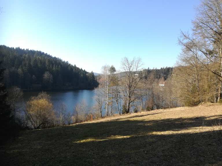 Höllenstein See: Wanderungen und Rundwege | komoot