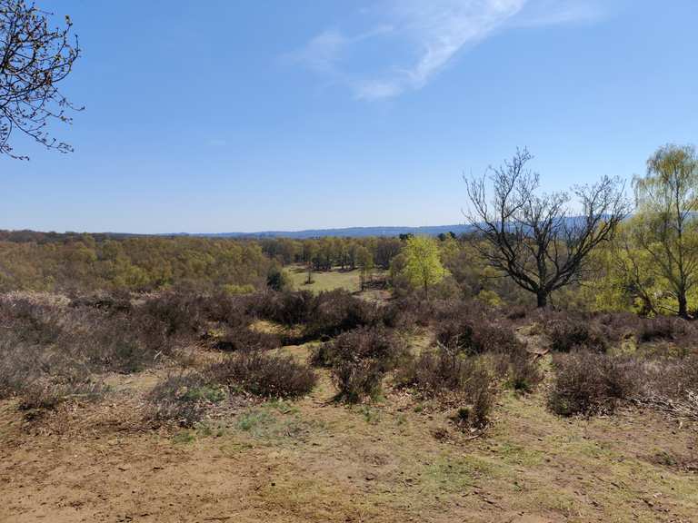 Puttenham Common Routes for Walking and Hiking | Komoot