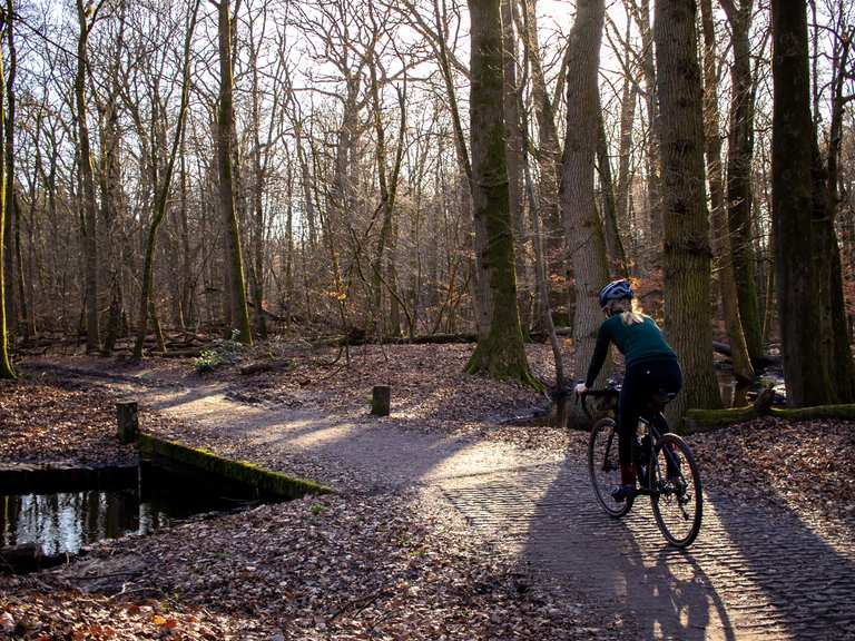 Unbefestigter Weg entlang des Waldbachs: Radtouren und Radwege | komoot