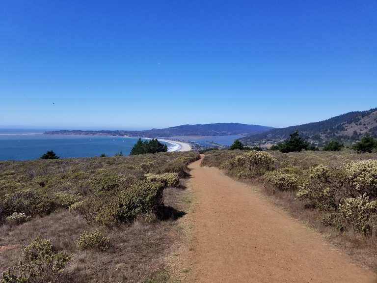 Dipsea Trail — Muir Woods National Monument | Wanderung | Komoot