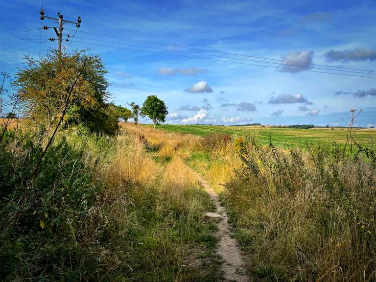Icknield Way - Cycle Routes and Map | Komoot
