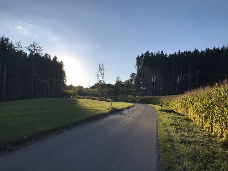 Schöne Auffahrt mit Panoramablick: Radtouren und Radwege | komoot