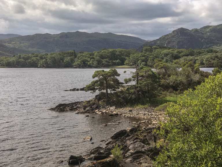 Muckross Lake Routes for Walking and Hiking | Komoot