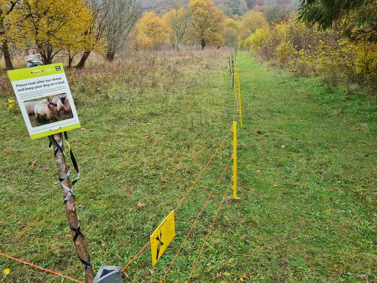 Warburg Nature Reserve Routes for Walking and Hiking | Komoot