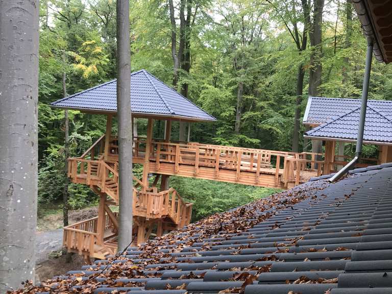Bad Camberg treetop walk - Mountain Bike Trails & Tracks | Komoot