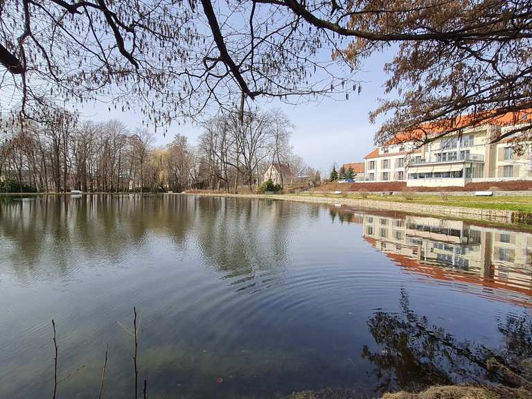 Park Bischheim Routes for Walking and Hiking | Komoot