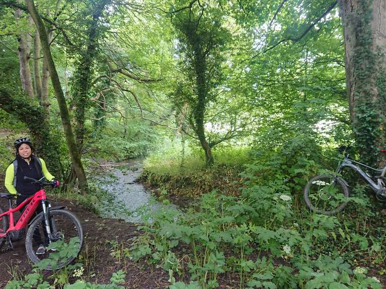 Meden Trail - Mountain Bike Trails & Tracks | Komoot