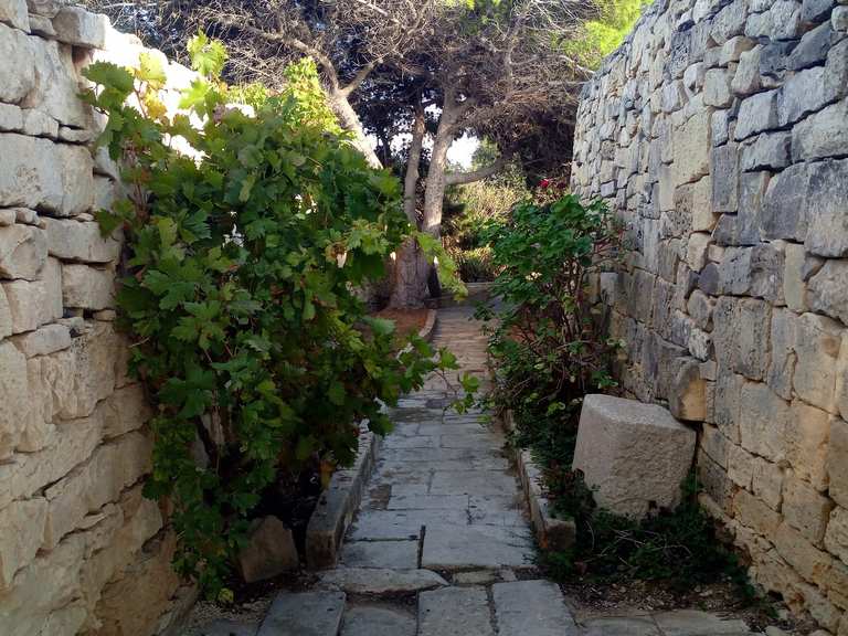 Hal-Millieri (Malta) – Malta, Gozo & Comino | Wanderung | Komoot