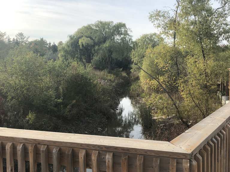Bayshire Woods & The Parkway loop — Oakville | Wanderung | Komoot