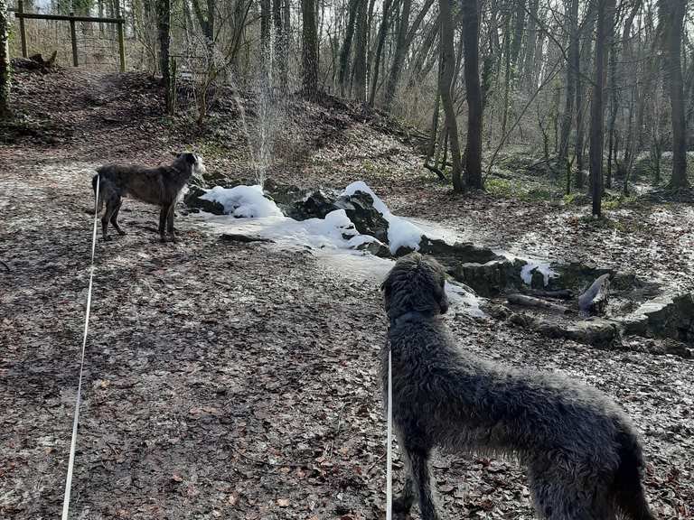 Sorgente di Neuborn : percorsi escursionistici e trekking | Komoot