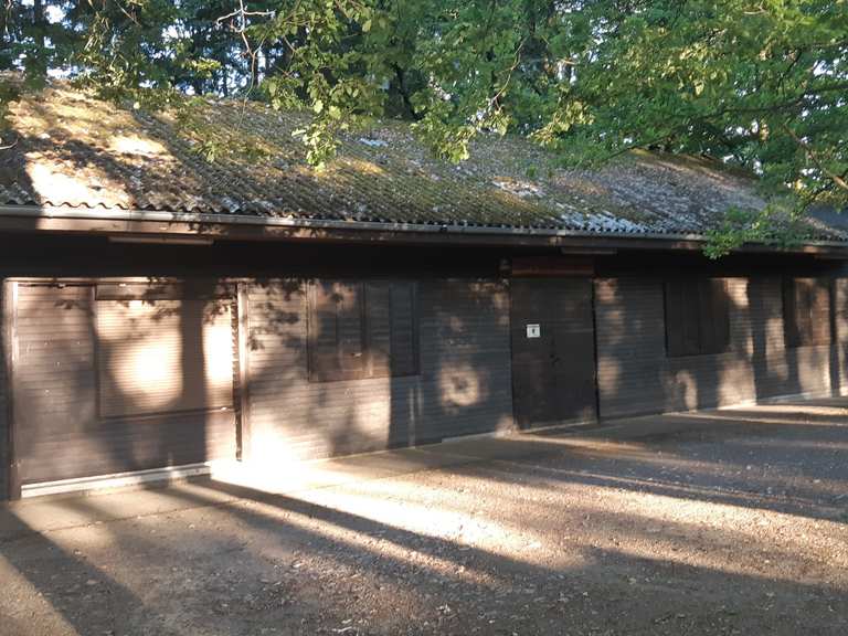 Parkwald Segendorf: Wanderungen und Rundwege | komoot