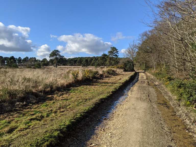 Mutters Moor: Mountainbike-Touren und -Trails | komoot