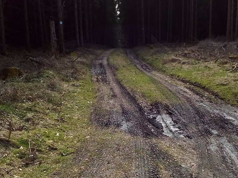The Frammersbach-Lohrhaupten church path Routes for Walking and Hiking ...