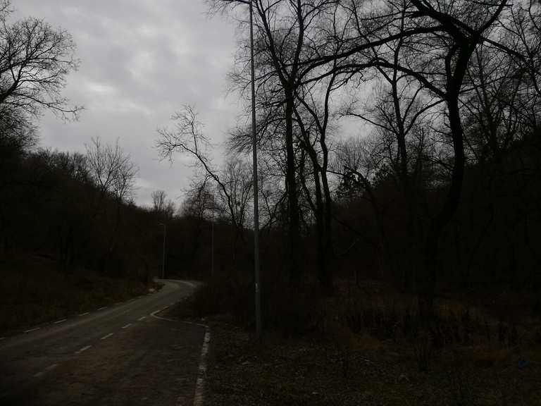 Cheile Baciului - Mountain Bike Trails & Tracks | Komoot