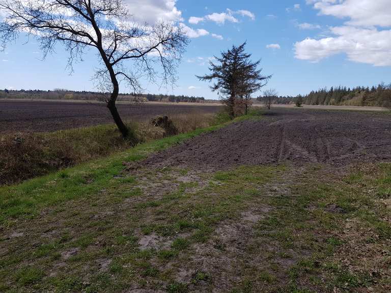 Blick auf die Heide - Cycle Routes and Map | Komoot
