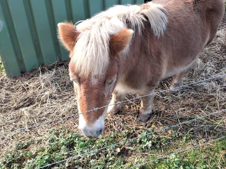 De Roer komt Nederland binnen bij Vlodrop - Cycle Routes and Map | Komoot