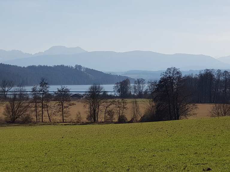 Aussichtspunkt Tachinger See : Radtouren und Radwege | komoot