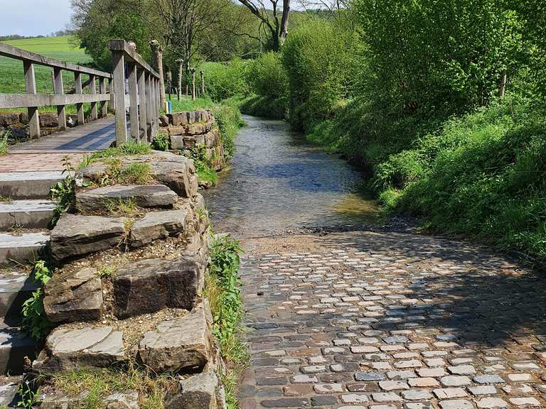 Mooi stuk langs de Gulp - wandelroutes en hikes | Komoot