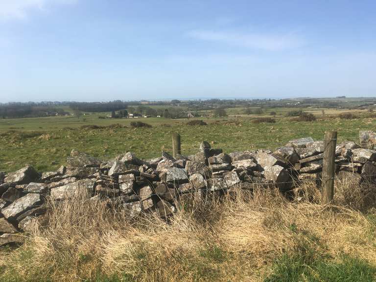 Ebbor Gorge & Wookey Hole loop from Priddy — Mendip Hills AONB | hike ...