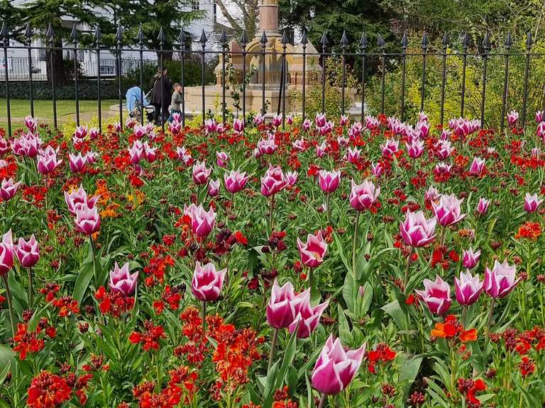 The Hitchman Fountain: Wanderungen und Rundwege | komoot