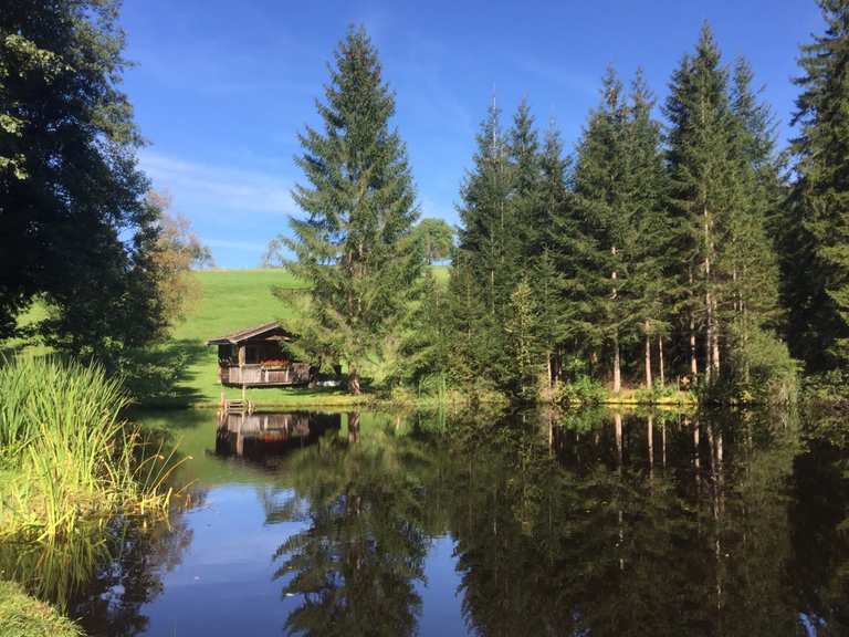 Hasenberg Weiher - Mountain Bike Trails & Tracks | Komoot