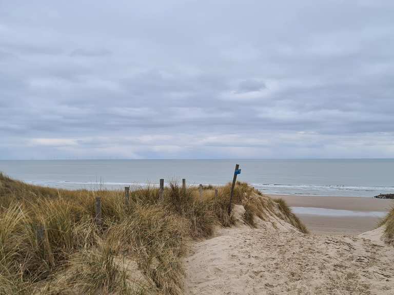 Strand van Hargen aan Zee wandelroutes en hikes | Komoot