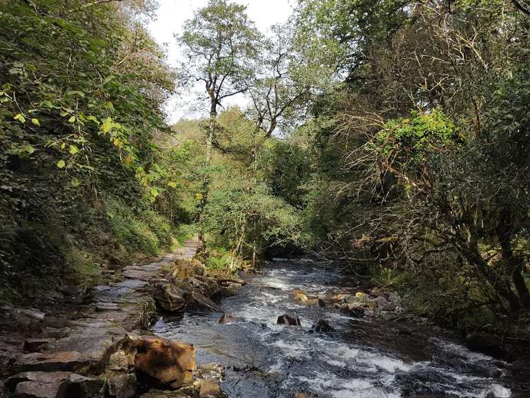 East Okement River Walk - Routes for Walking and Hiking | Komoot