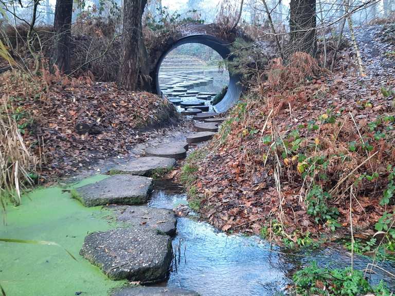 Stapstenen in Waterpark Lankheet: Wanderungen und Rundwege | komoot