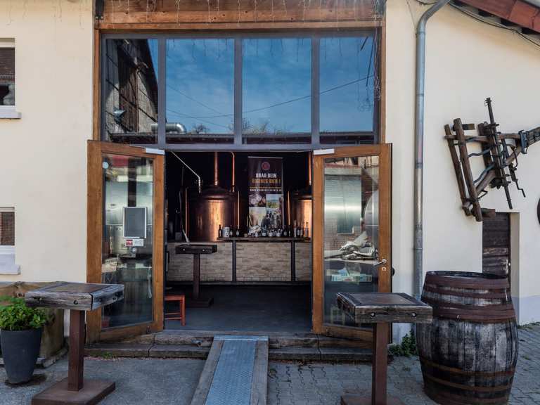 Hiking the Philosopher's Path in Heidelberg — hiking from Germany’s ...