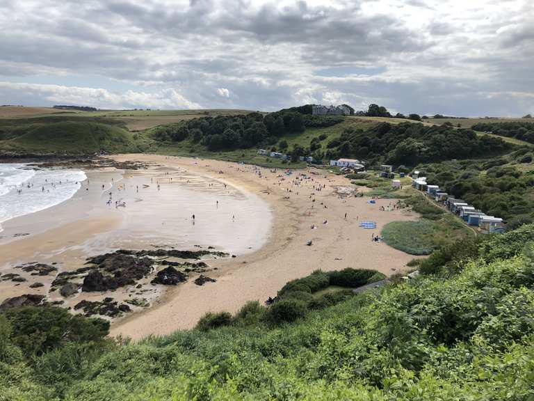 Coldingham Sands. Great all round beach Routes for Walking and Hiking ...
