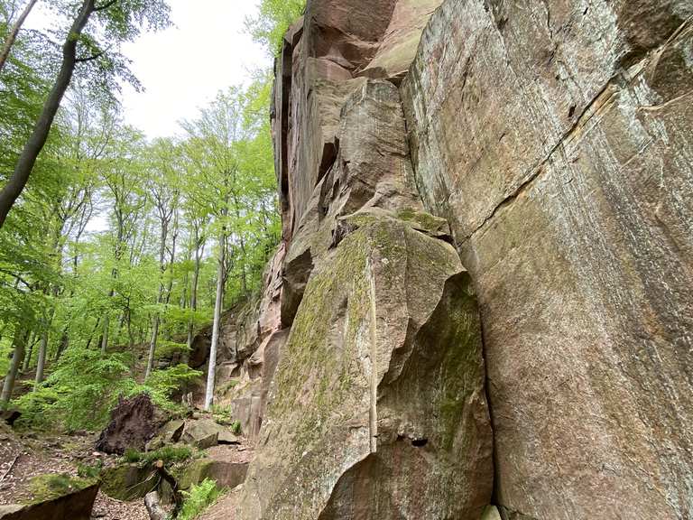 Sendero de la Cantera de Arenisca (Neckarhalde): Rutas de senderismo y ...