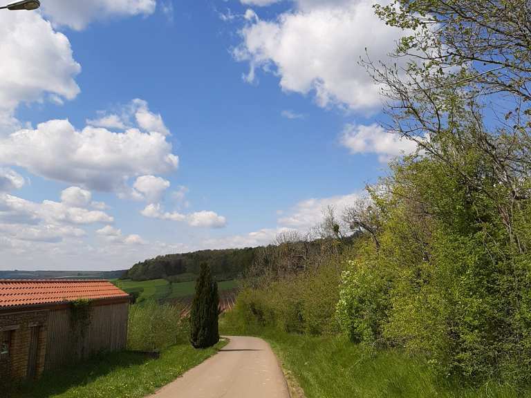 Boucle Torgny – Vignoble Le Poirier du Loup au départ de Torgny ...