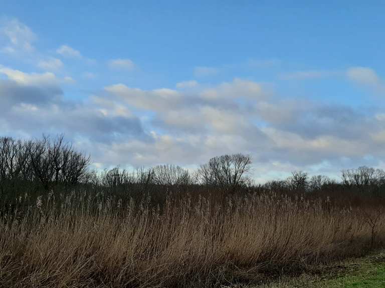 Natuurreservaat Het Stort wandelroutes en hikes | Komoot