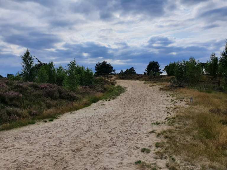 Landschap Kalmthoutse Heide wandelroutes en hikes | Komoot