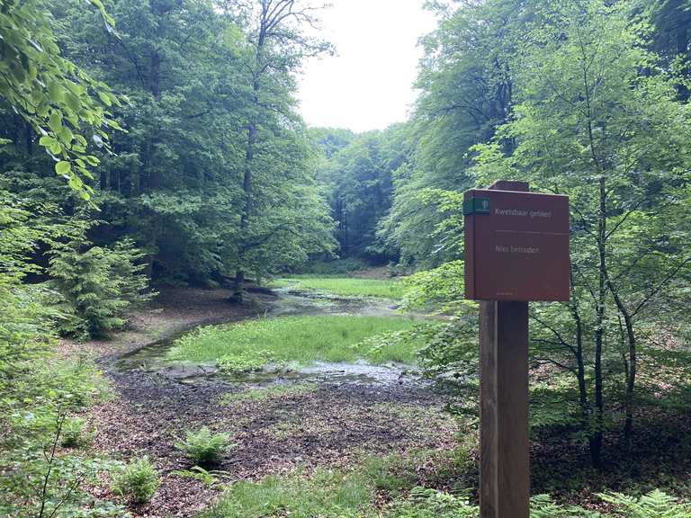 Het Solse Gat - Cycle Routes and Map | Komoot