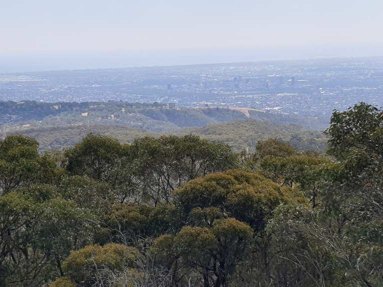 Mount Lofty Summit : percorsi escursionistici e trekking | Komoot