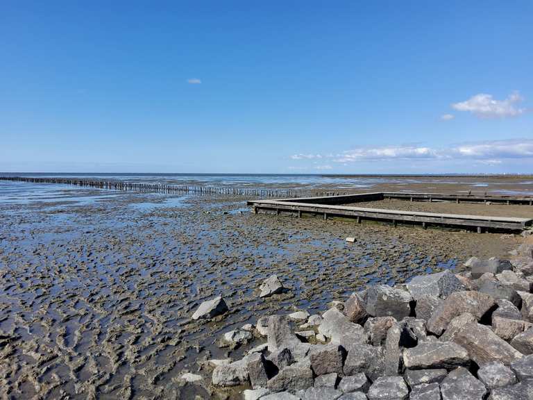 Erlebnisstrand Friedrichskoog Spitze: Wanderungen und Rundwege | komoot