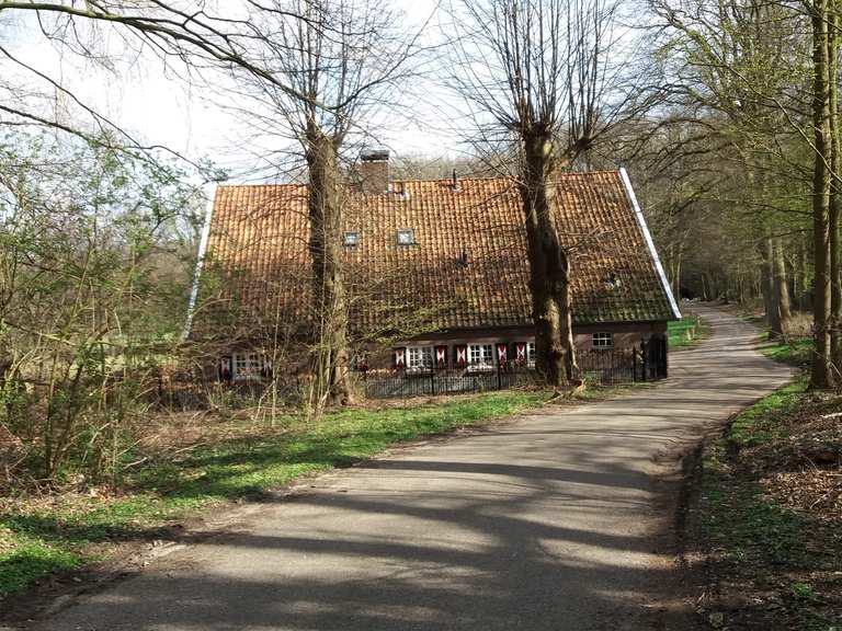 Tankenberg : Radtouren und Radwege | komoot