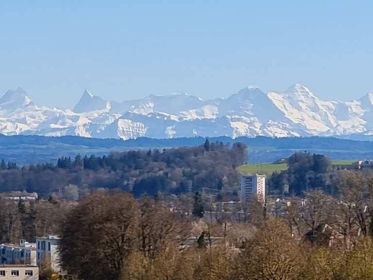 Schloss Waldegg: Wanderungen und Rundwege | komoot