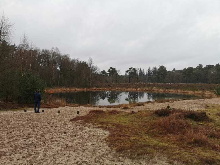 Mooi uitzicht over meertje wandelroutes en hikes | Komoot