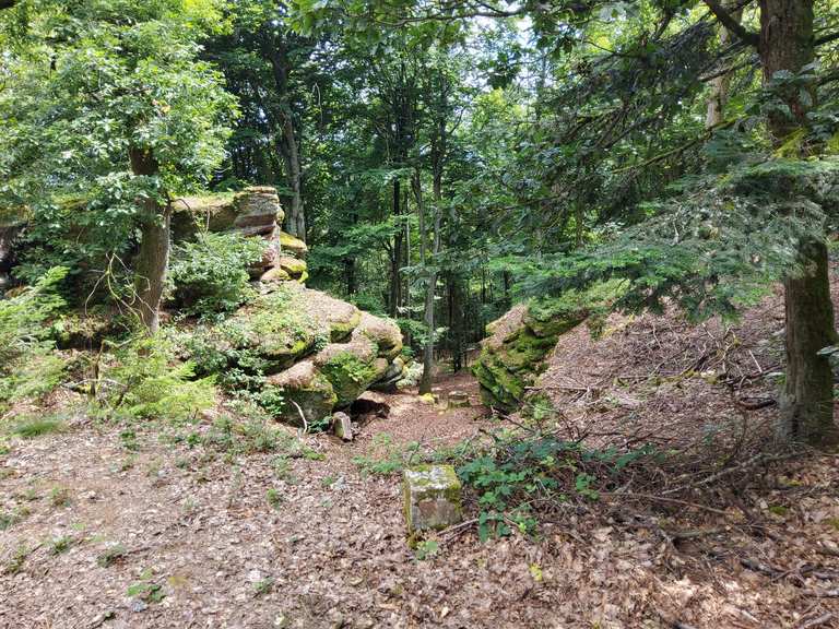 Grotte du Brotsch Routes for Walking and Hiking | Komoot