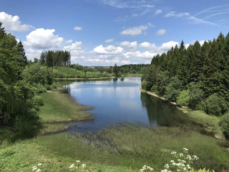 Hirschler Teich: Wanderungen und Rundwege | komoot