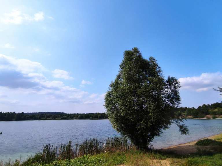Froser See : Radtouren und Radwege | komoot