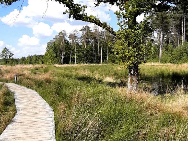 Voetgangersbrugje over het ven – Over Landduinen rondtocht vanuit ...
