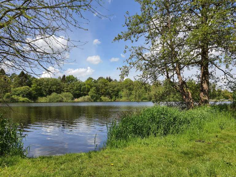 Sunder Seen mit Seerosen und kapitalen Karpfen : Radtouren und Radwege ...