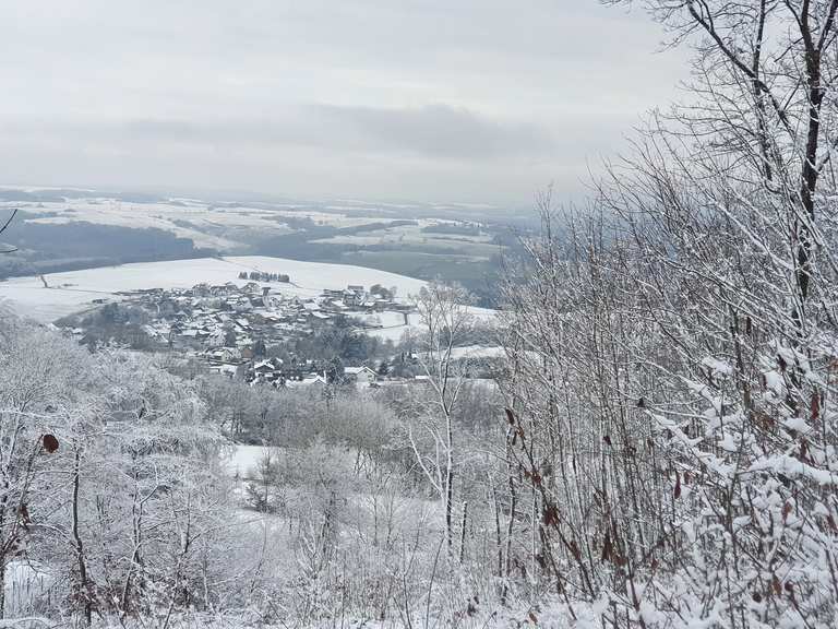 Blick über die Eifel vom Michelsberg: Wanderungen und Rundwege | komoot